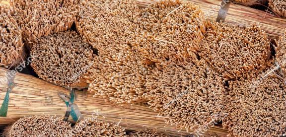 Rieten daken lambrecht | riet